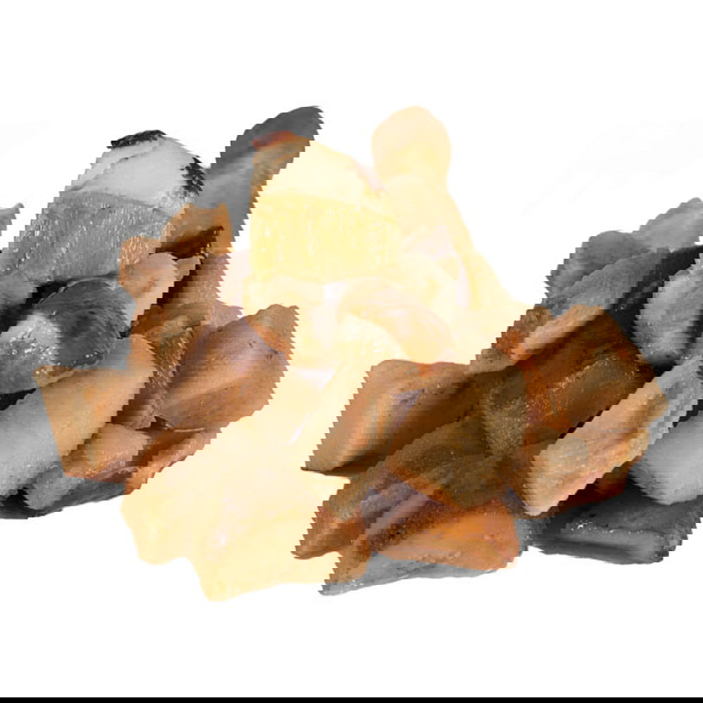 how to cook frozen porcini mushrooms