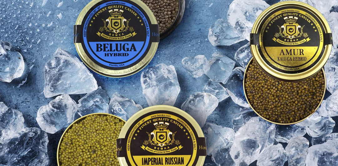 The Most Common Types of Caviar – Caviar Lover