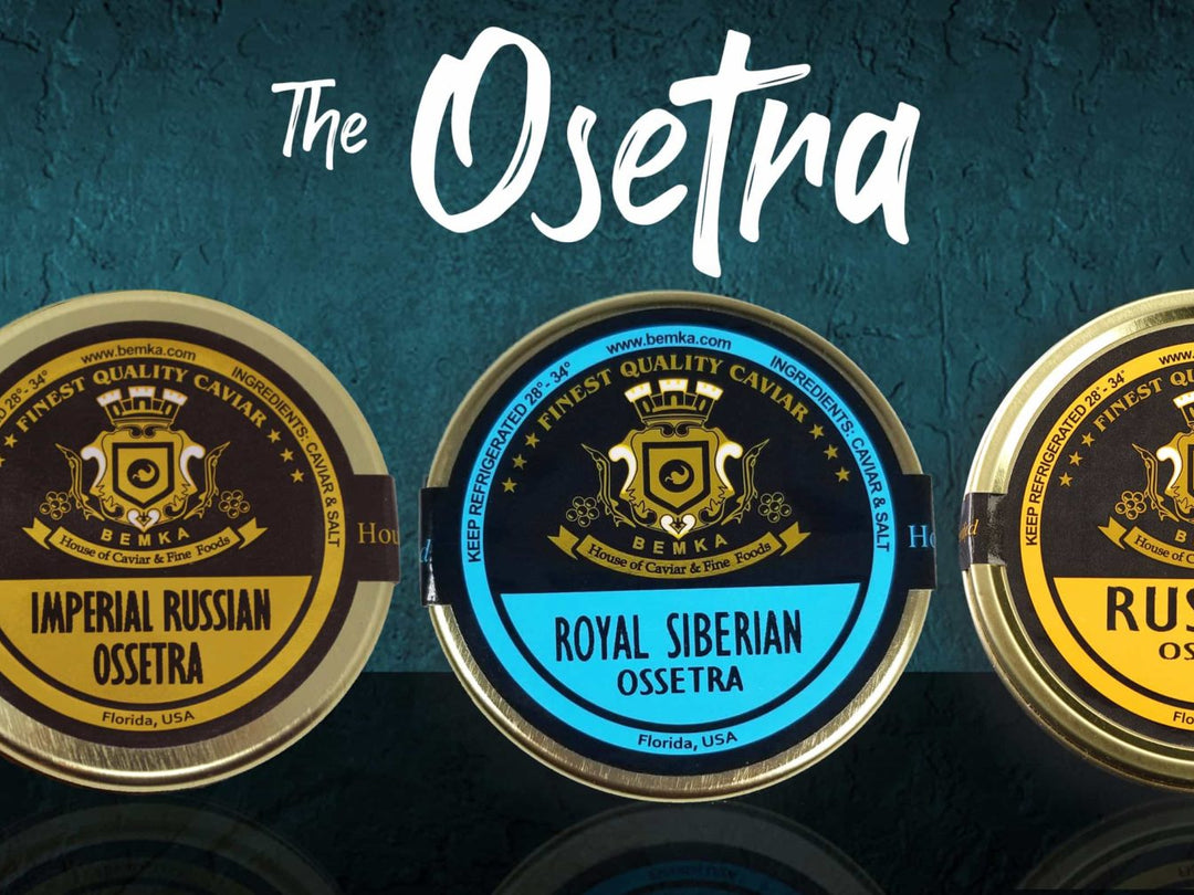 The Ultimate Guide about Osetra Caviar – Caviar Lover