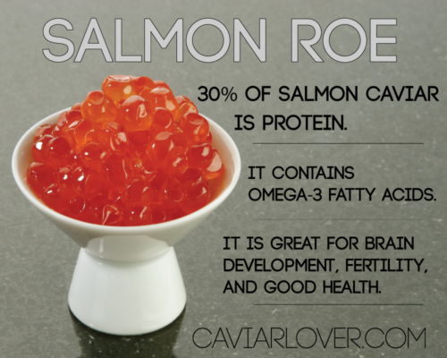 Salmon Roe Benefits – Caviar Lover